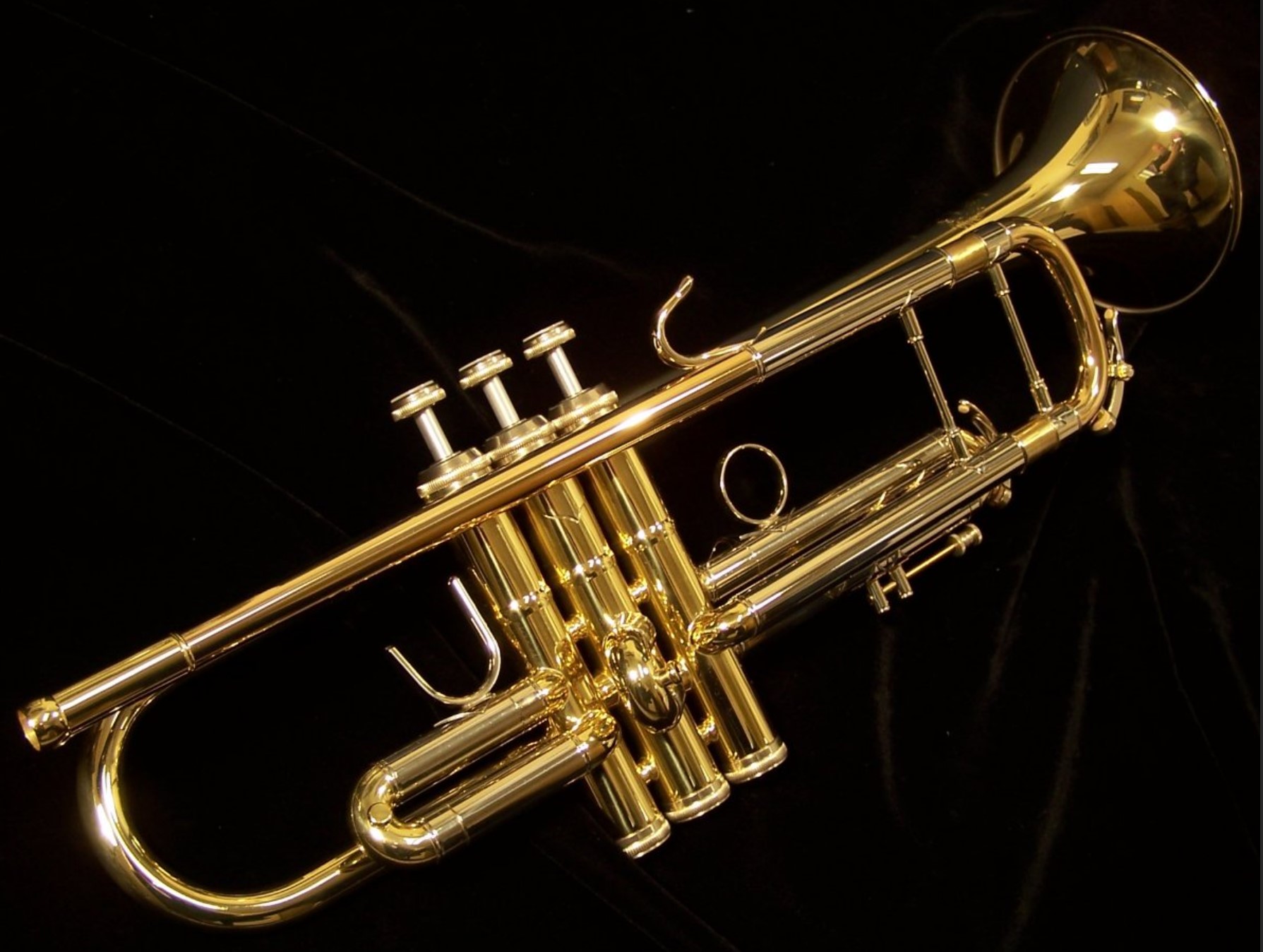 Professional jazz performances in Leicestershire schools | East ...